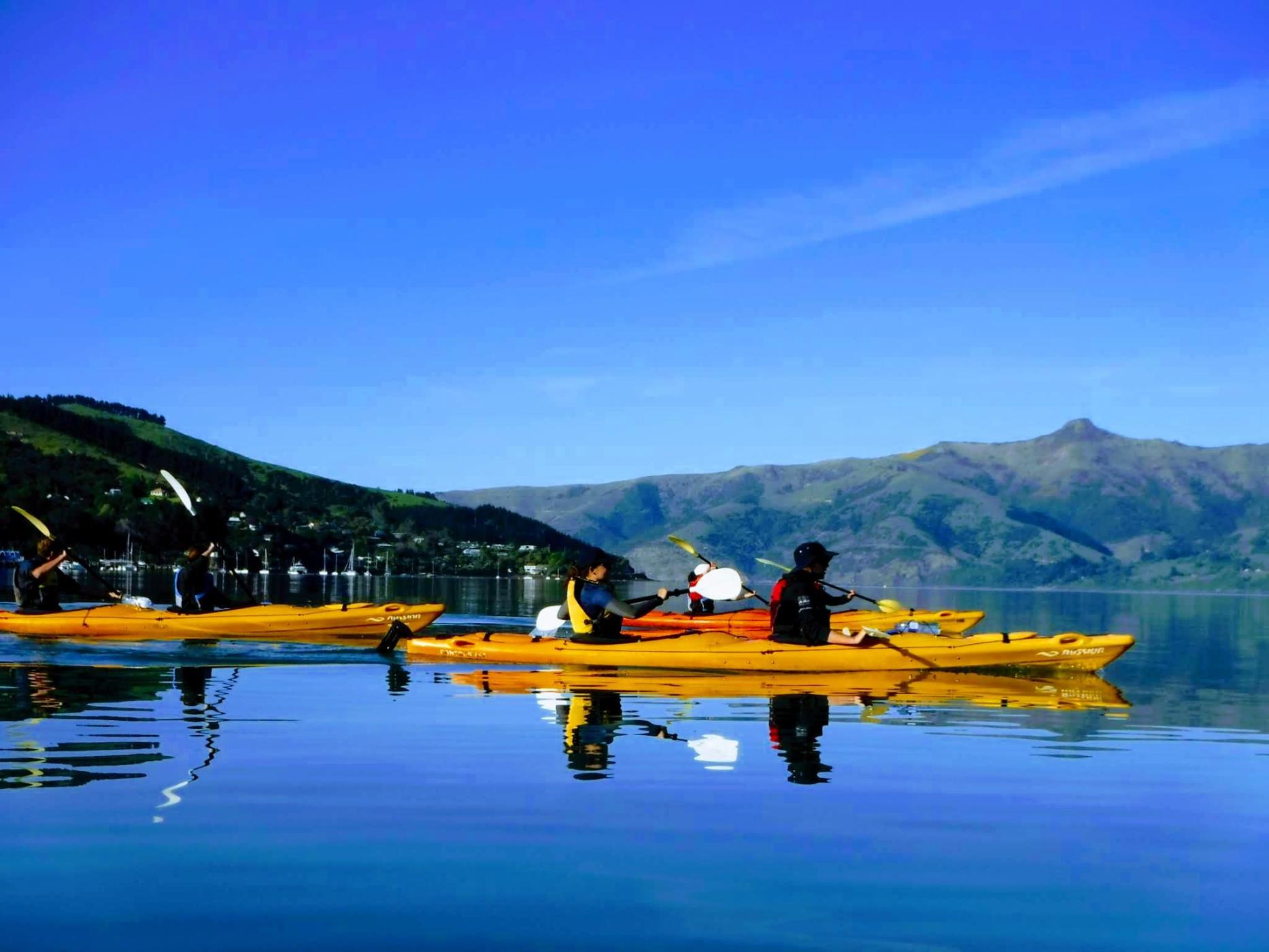 Akaroa Guided Kayaking Safaris | Sea Kayaking & Wildlife Tours