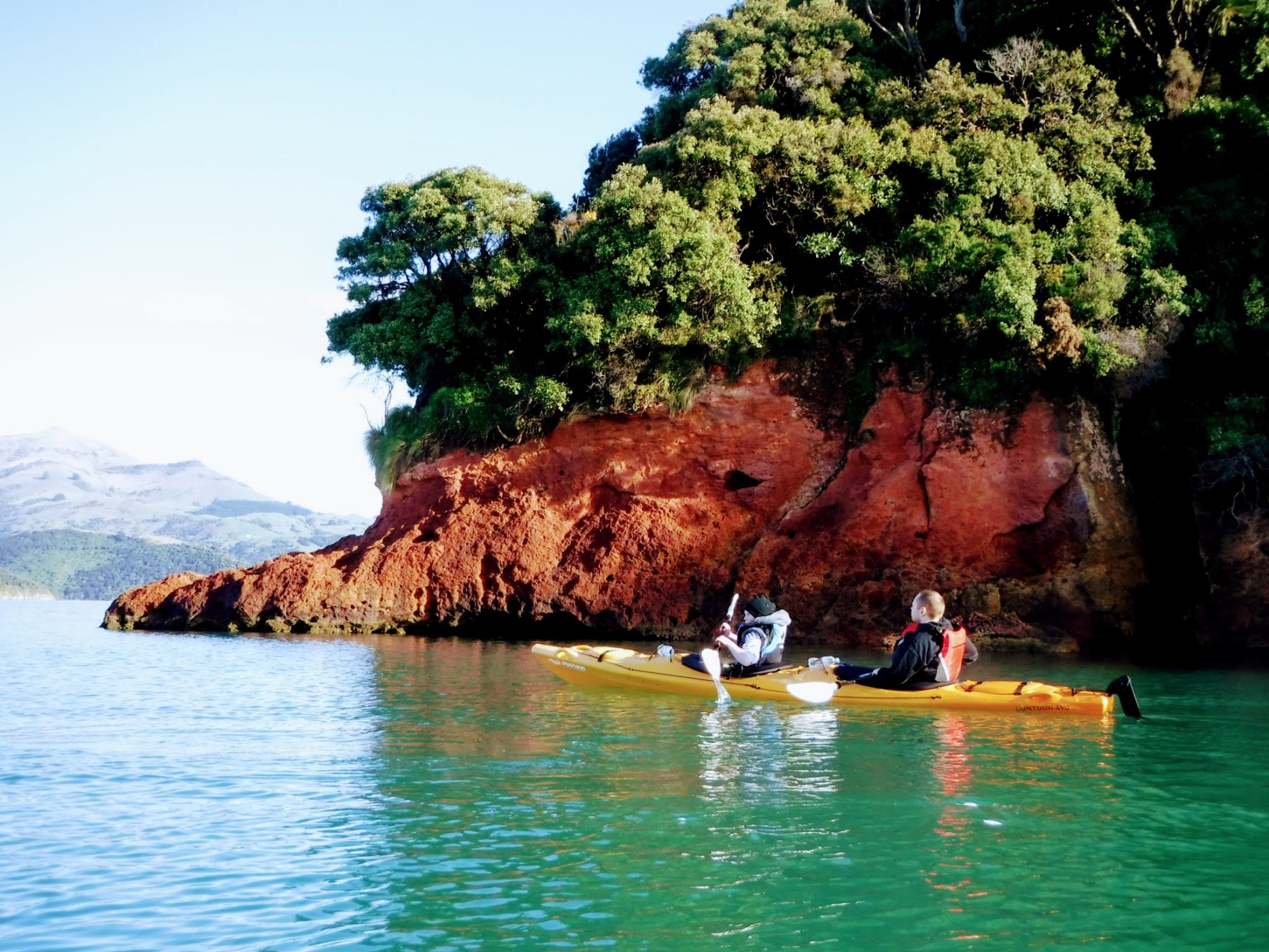 Gallery | Akaroa Guided Kayaking Safaris