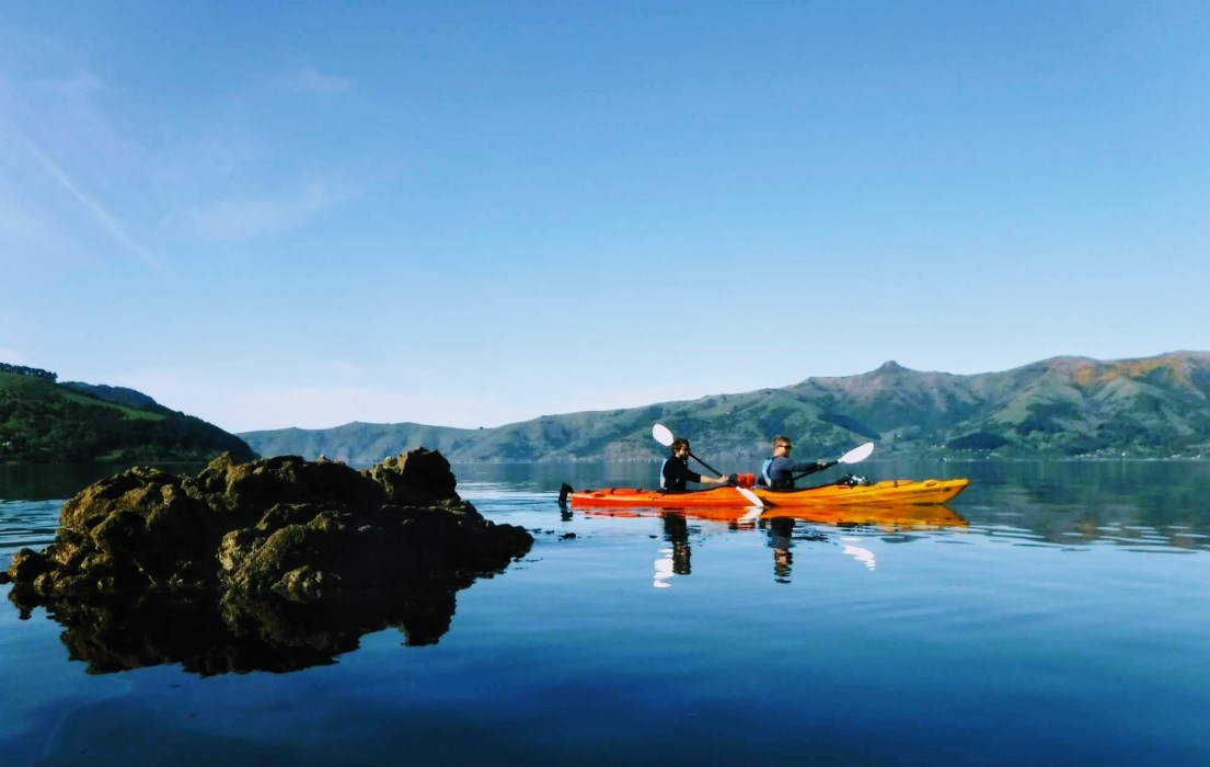 Akaroa Day Trip From Lyttelton Port | Akaroa Guided Kayak Safari
